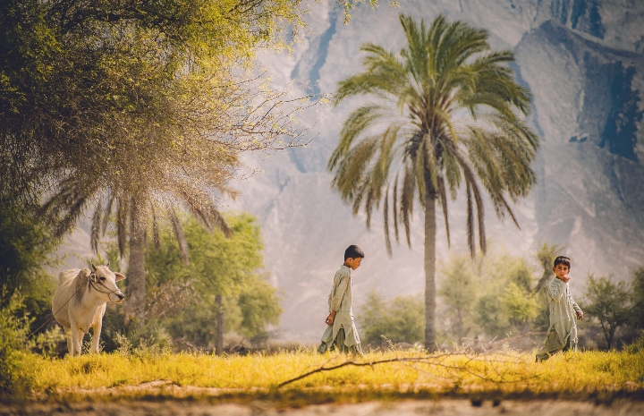 Aftab Amjid - National Tourism Pakistan